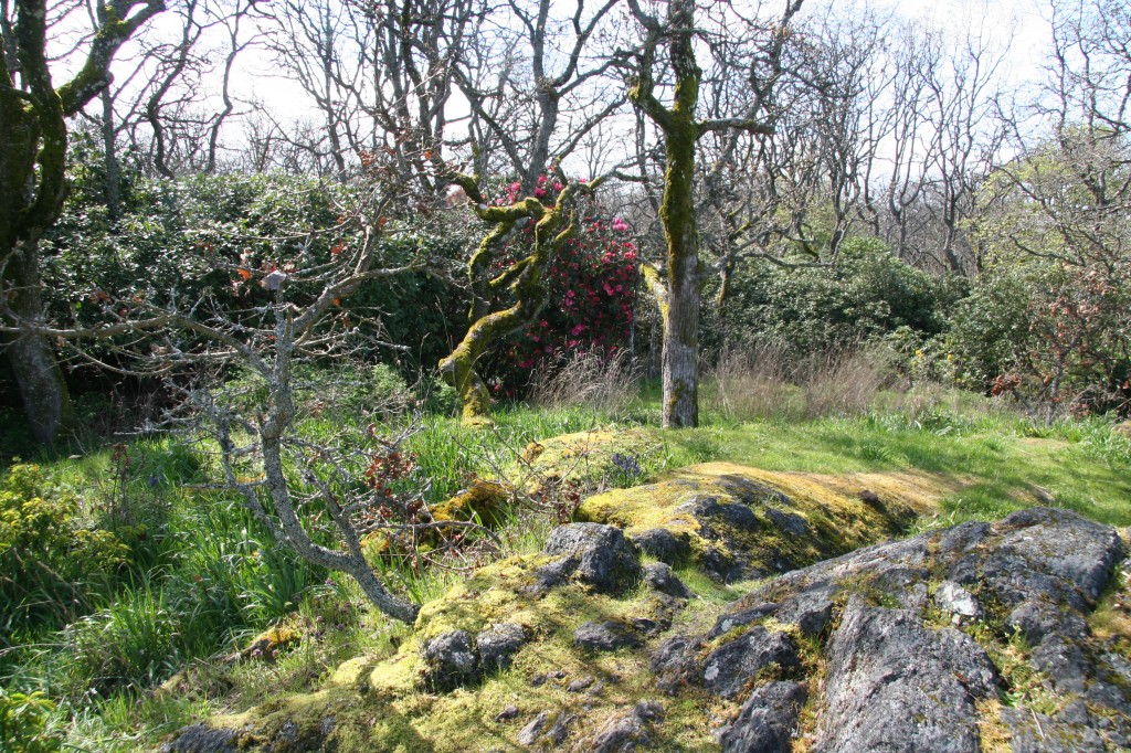 Playfair Park « Tags « Victoria BC Artist